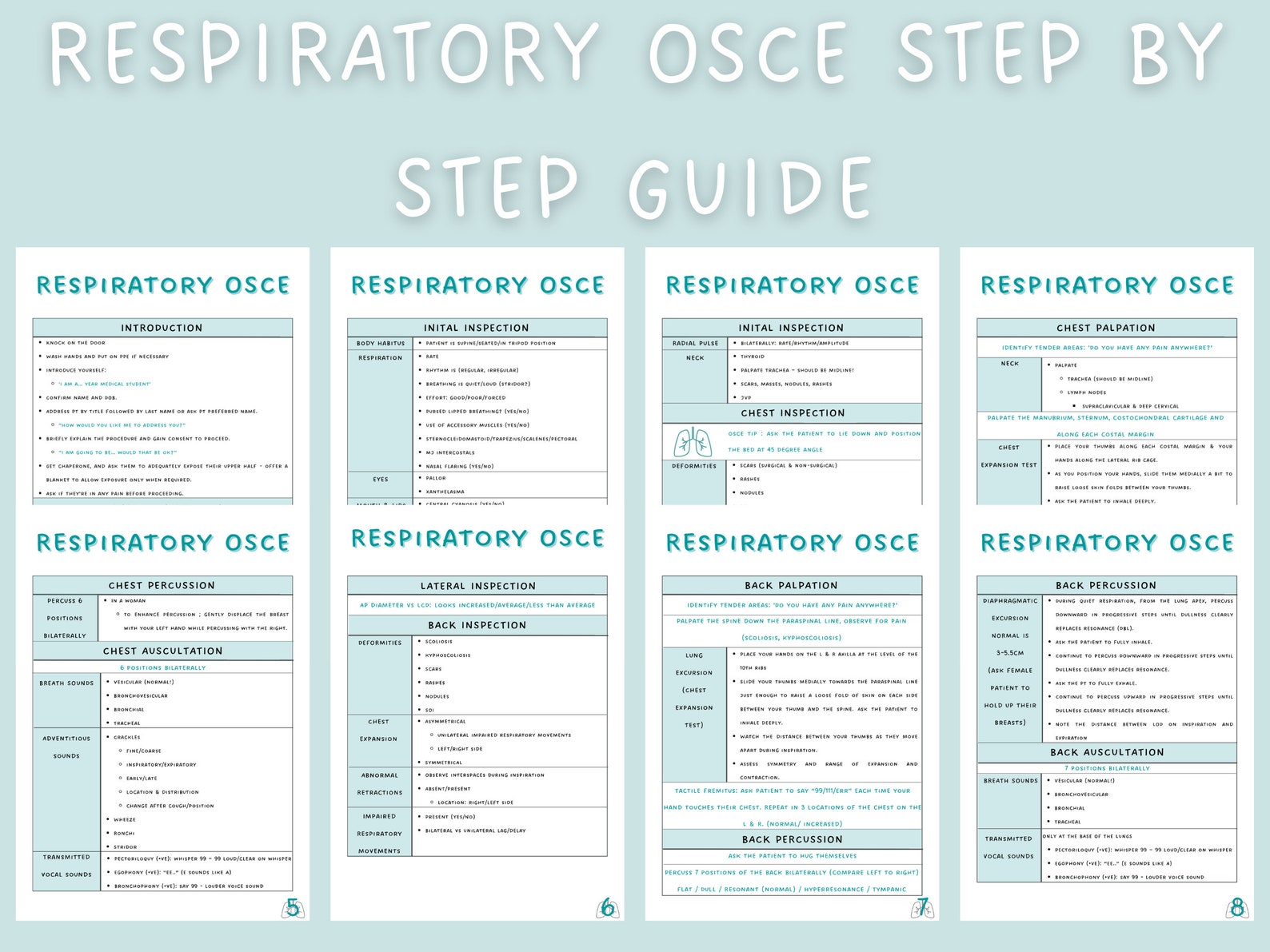 Full Respiratory Physical Exam Summary, Respiratory OSCE Step by Step ...