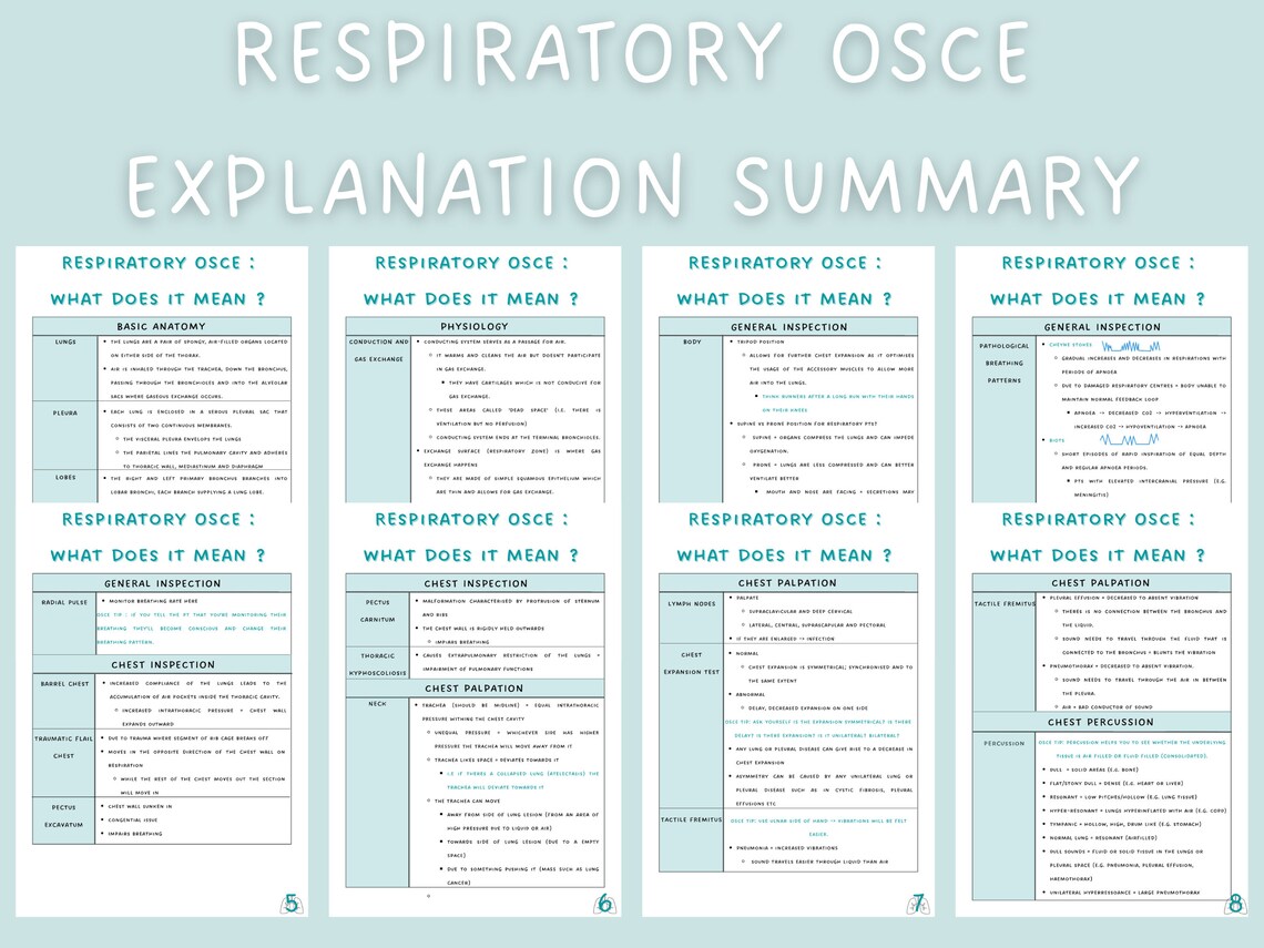 Full Respiratory Physical Exam Explanation, Respiratory OSCE Summary ...