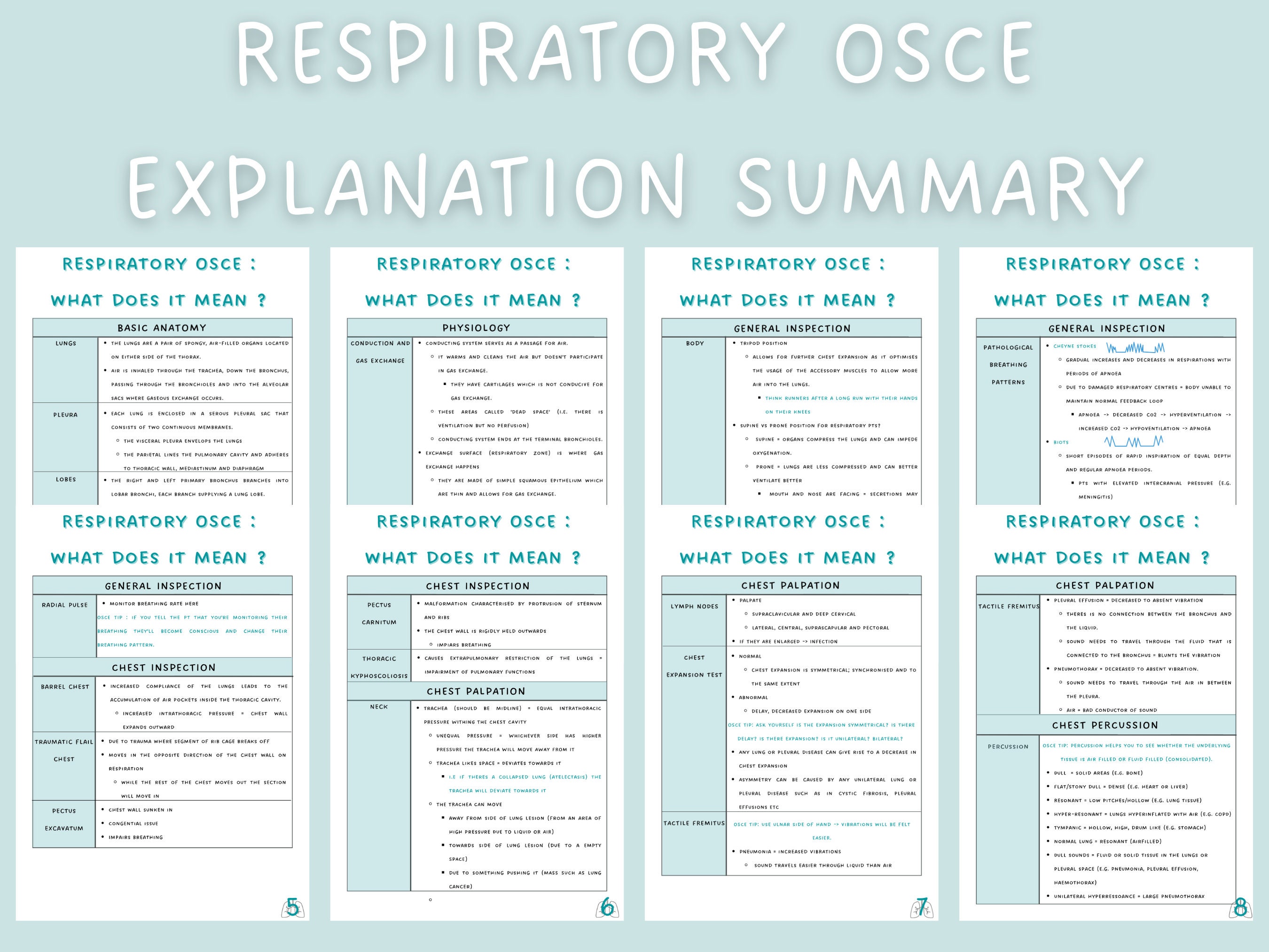 Full Respiratory Physical Exam Explanation, Respiratory OSCE Summary ...
