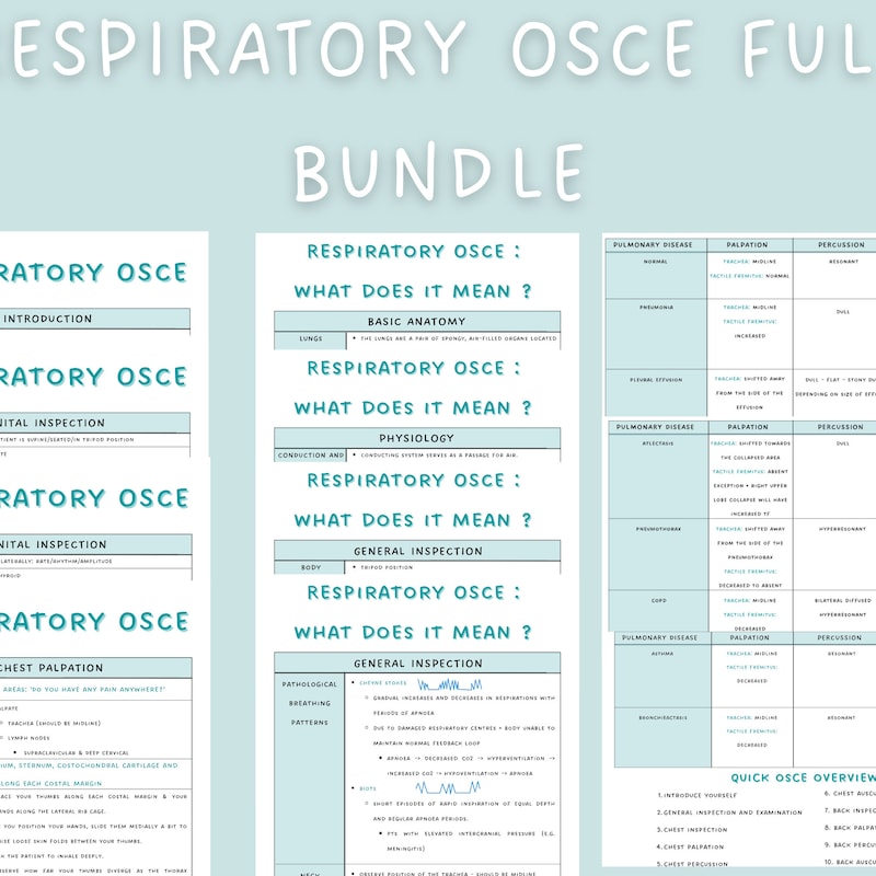 TheOrganizedMedic - Etsy