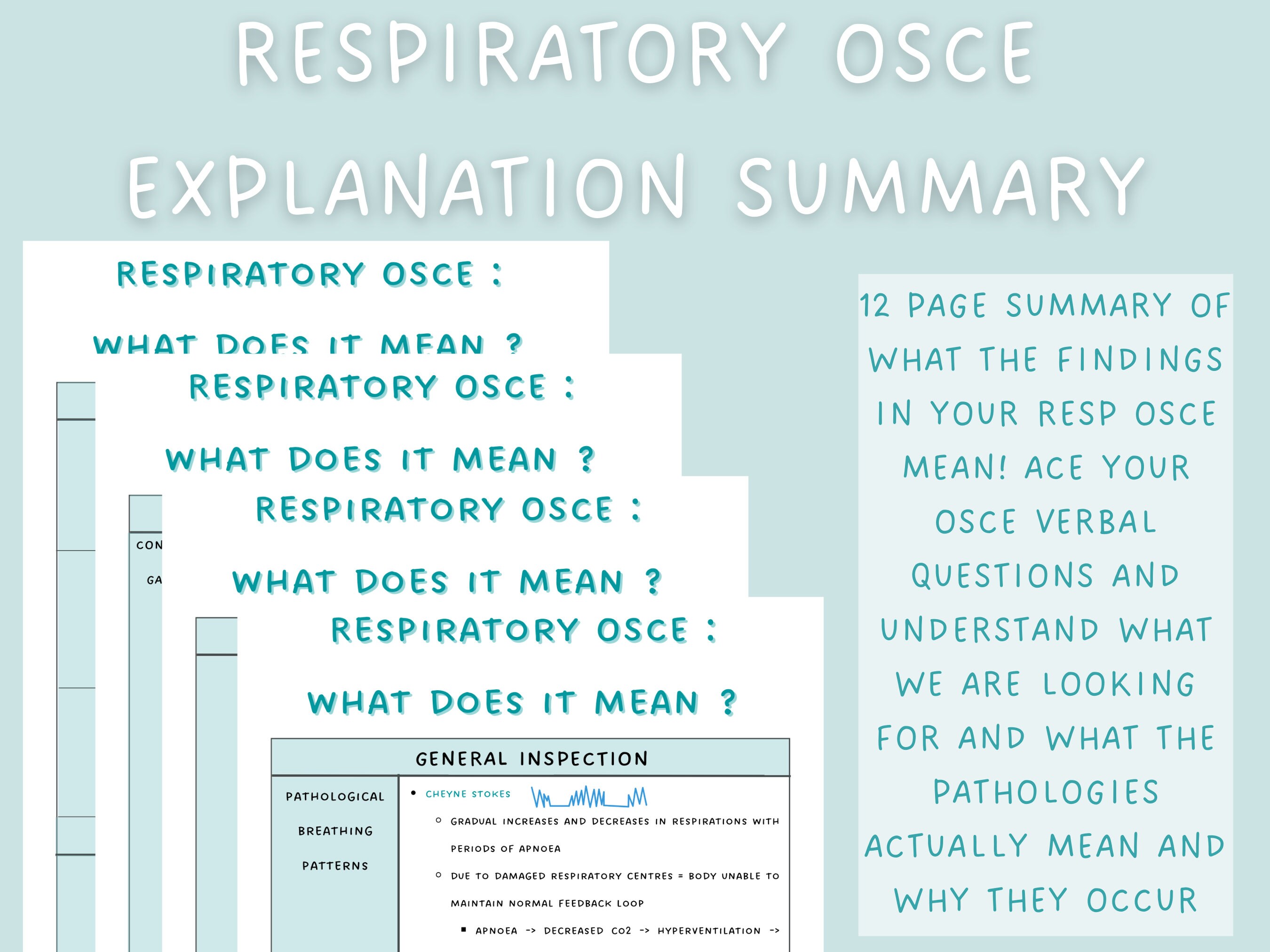 Full Respiratory Physical Exam Summary Bundle, Respiratory OSCE OSPE ...
