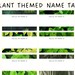 Plant Themed Classroom Decor Bundle: Calendar, Posters, and More ...