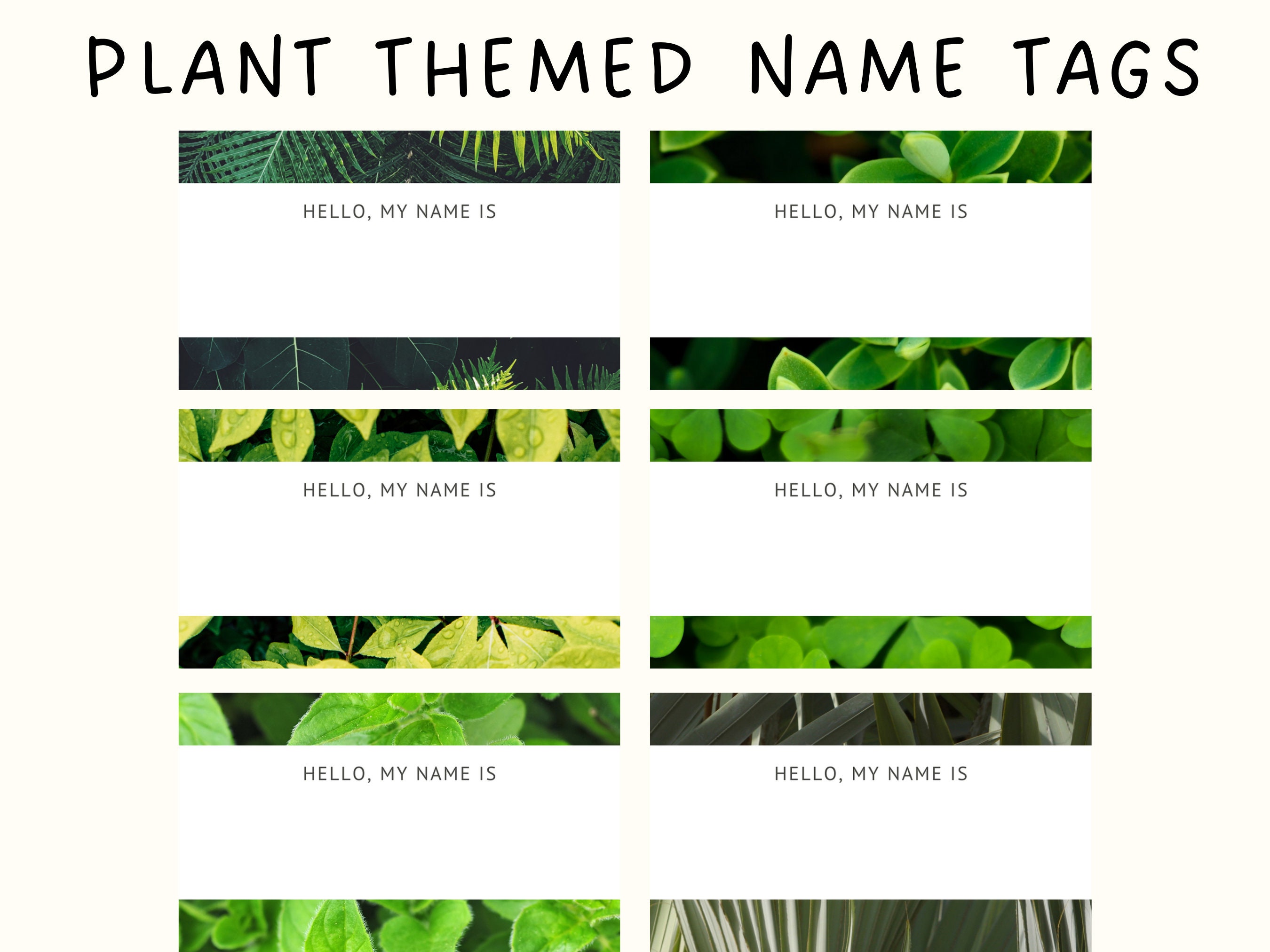 Plant Themed Classroom Decor Bundle Display, Welcome Sign Birthday ...