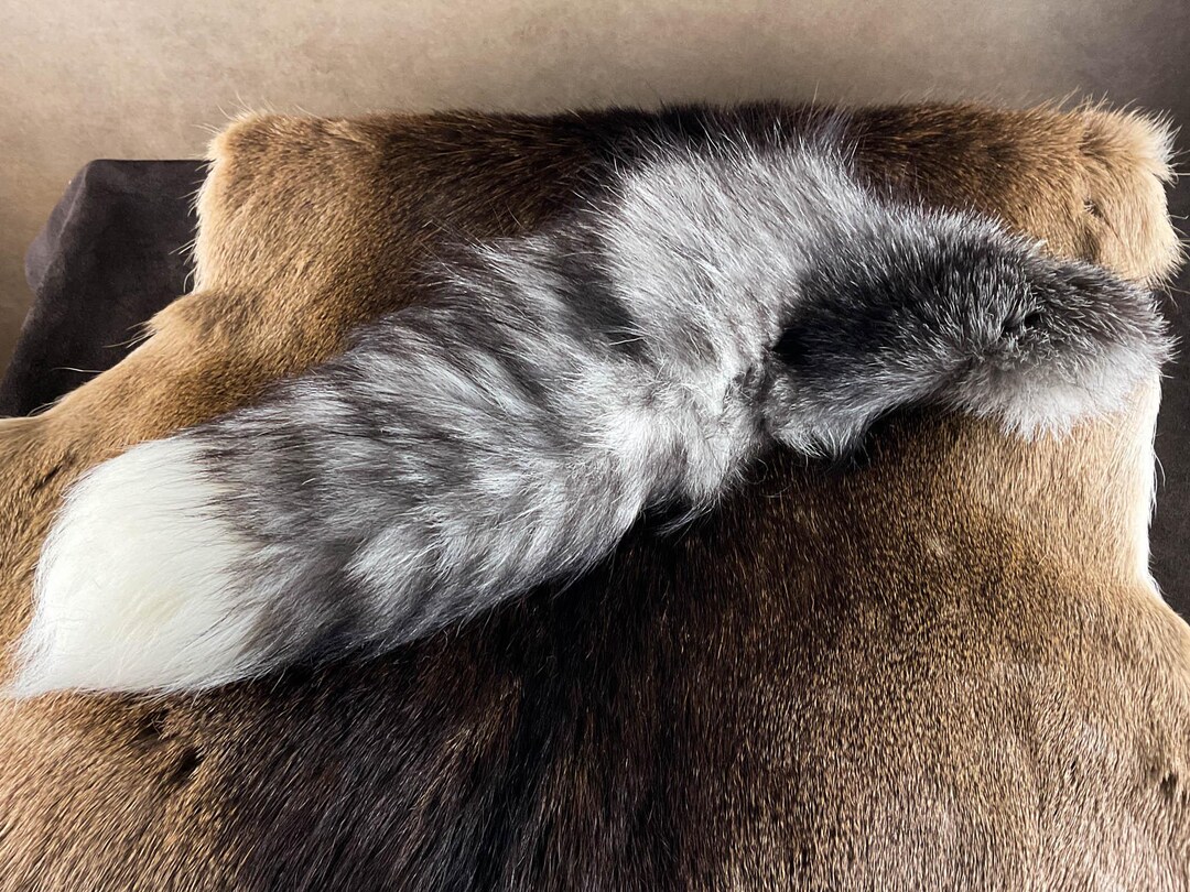 Foxtail Fox Tail Red Fox Silver Fox Real Fur Real Fur LARP Middle Ages ...