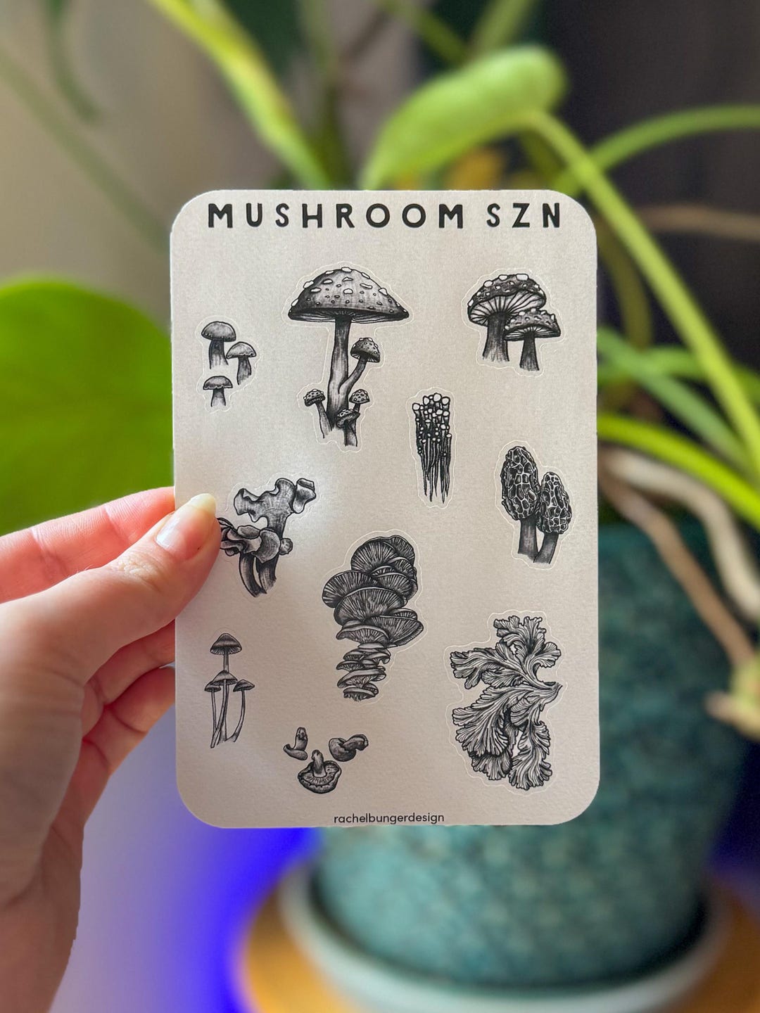 Hand Drawn Mushroom Szn Sticker Sheet - Etsy