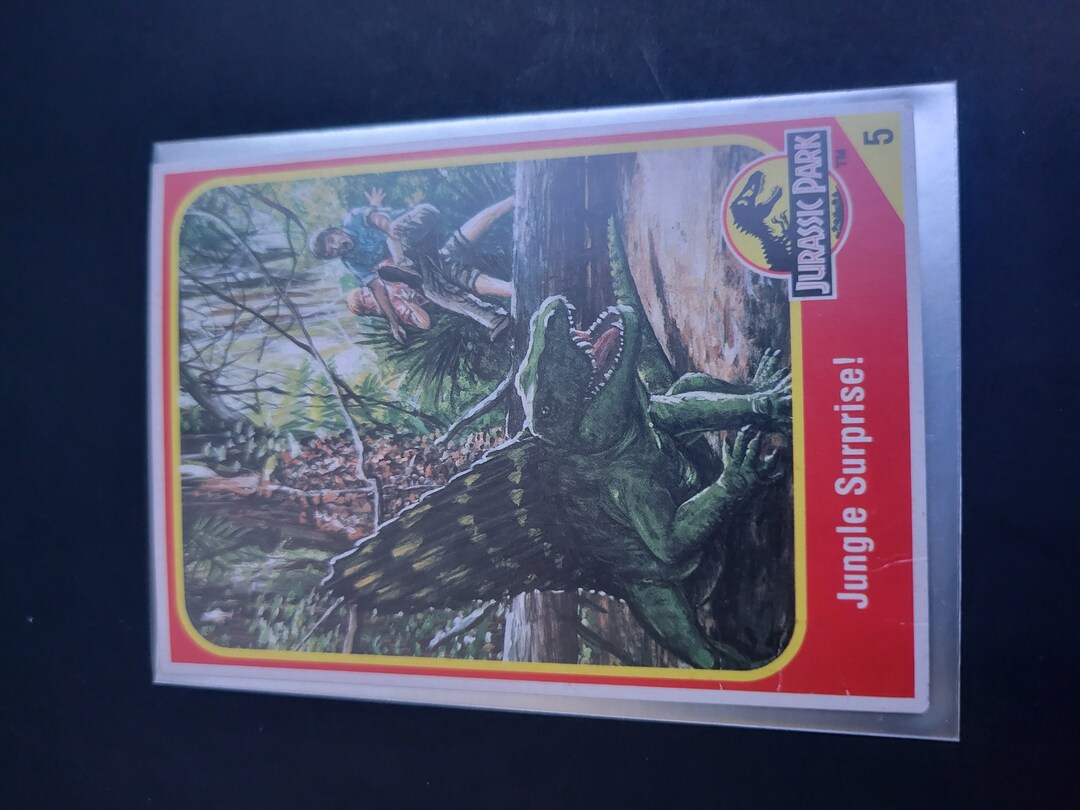 Jungle Surprise* Kenner Jp Card - Etsy
