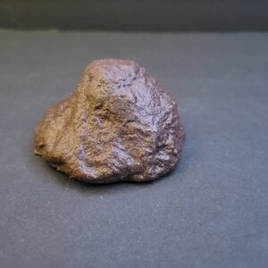 Jurassic Park Poo Pile - Etsy