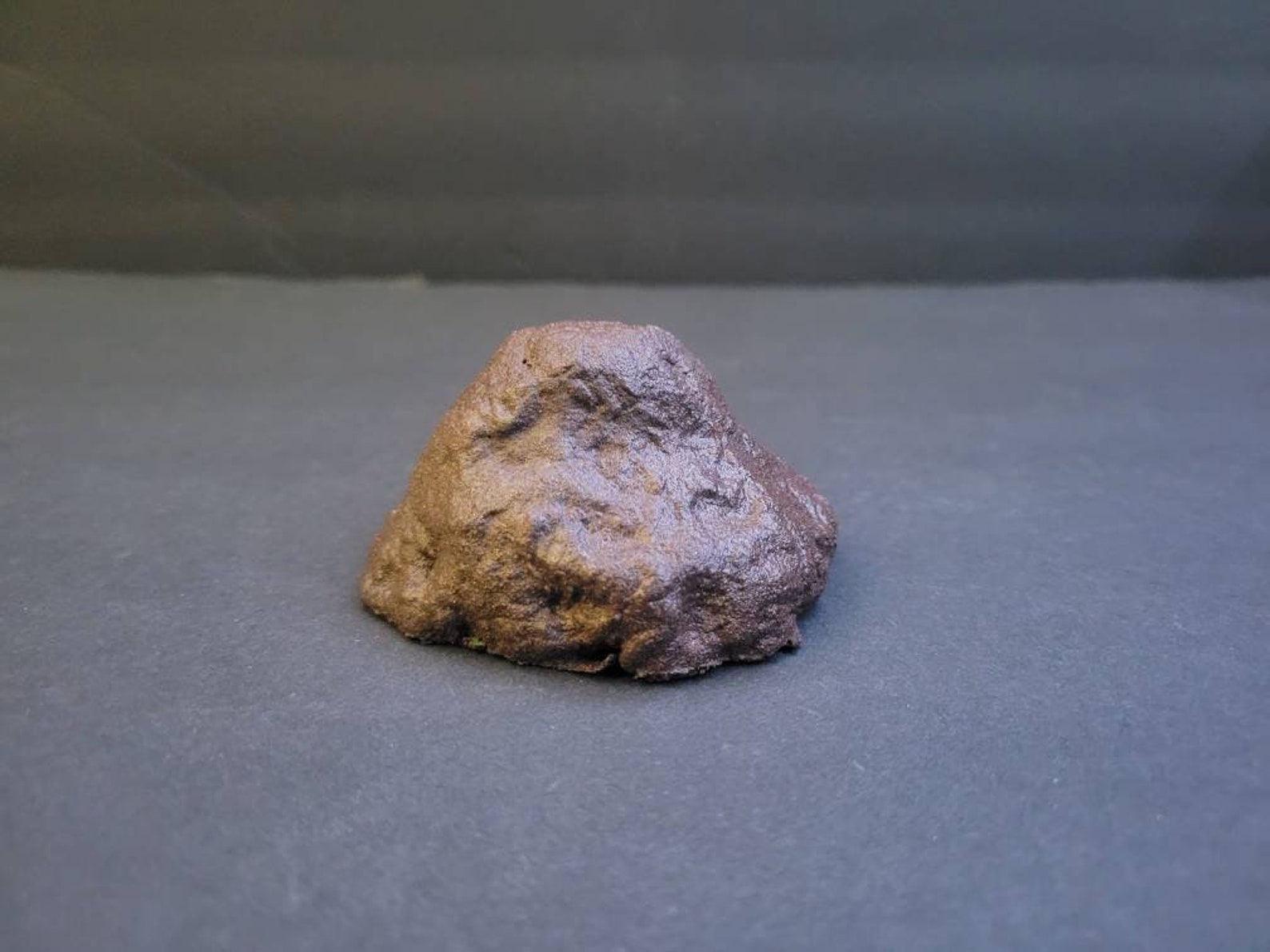 Jurassic Park Poo Pile - Etsy