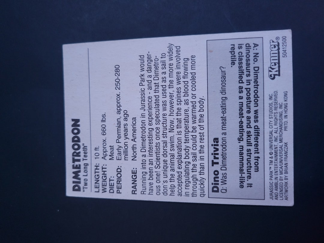 Jungle Surprise Kenner Jp Card - Etsy