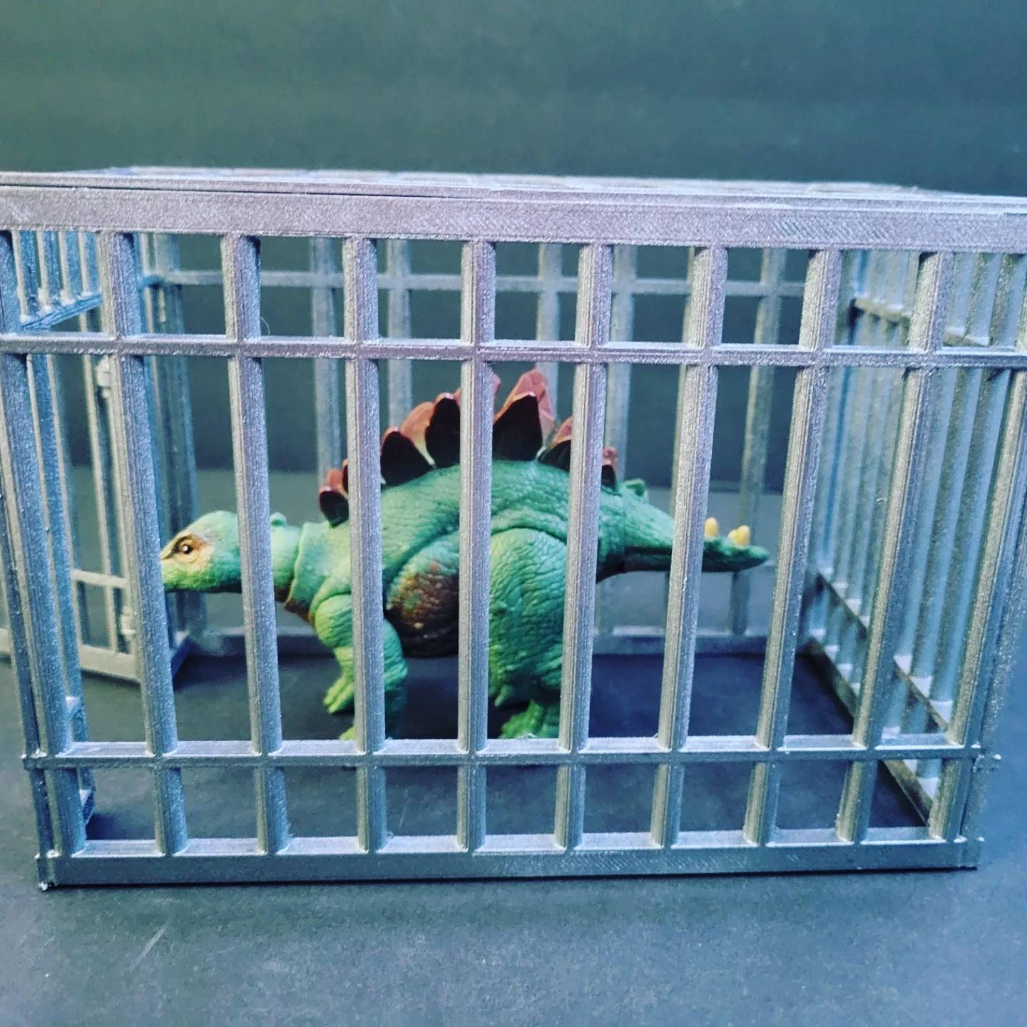 Dino Cage read - Etsy