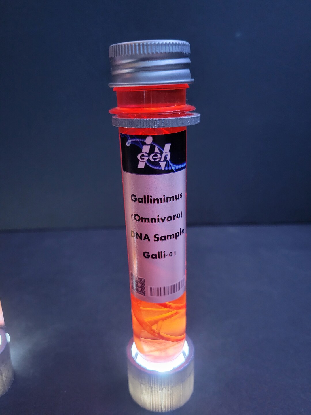 Gallamimus DNA - Etsy