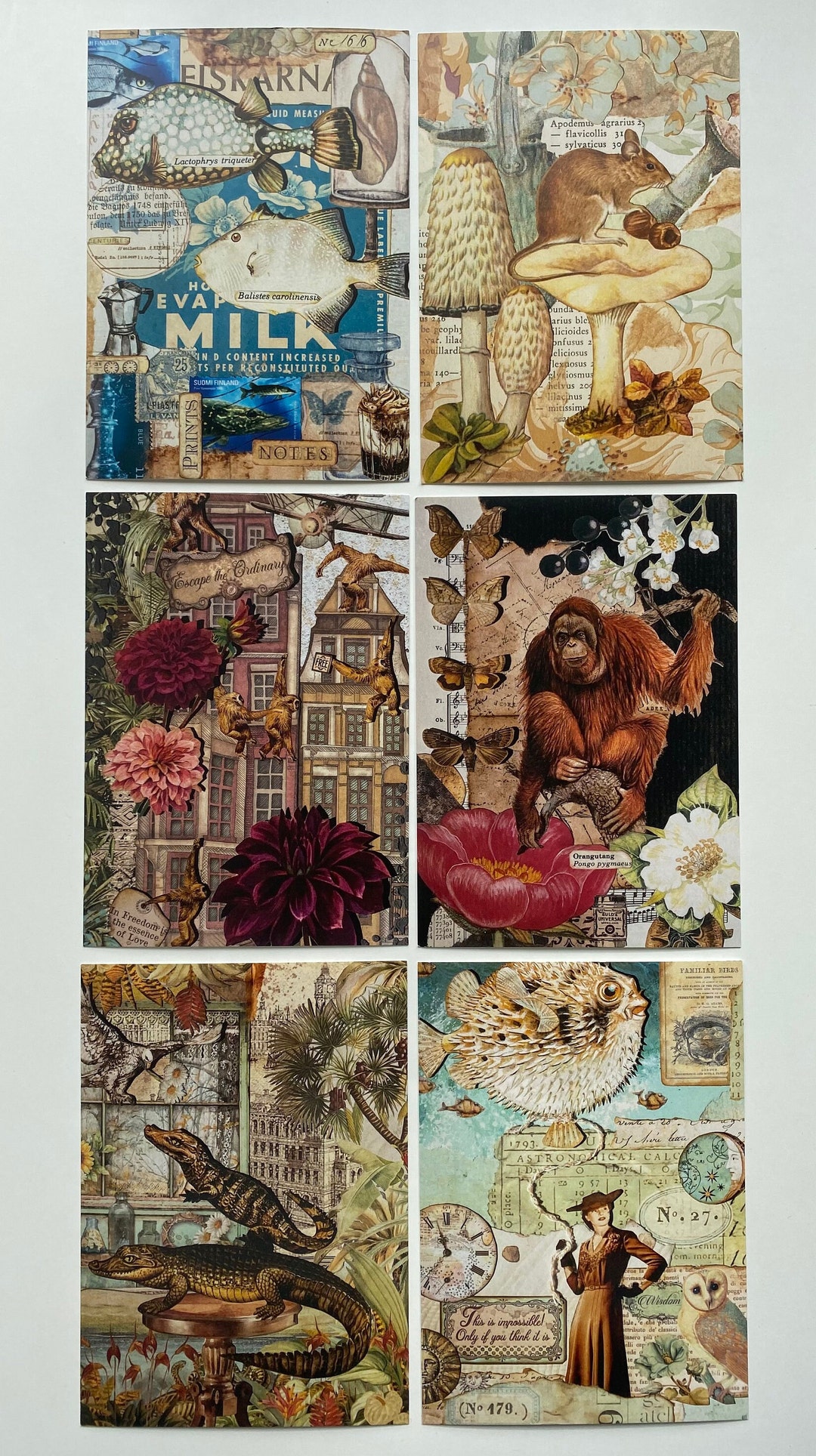Postcards, Cards, Set of Postcards - Etsy
