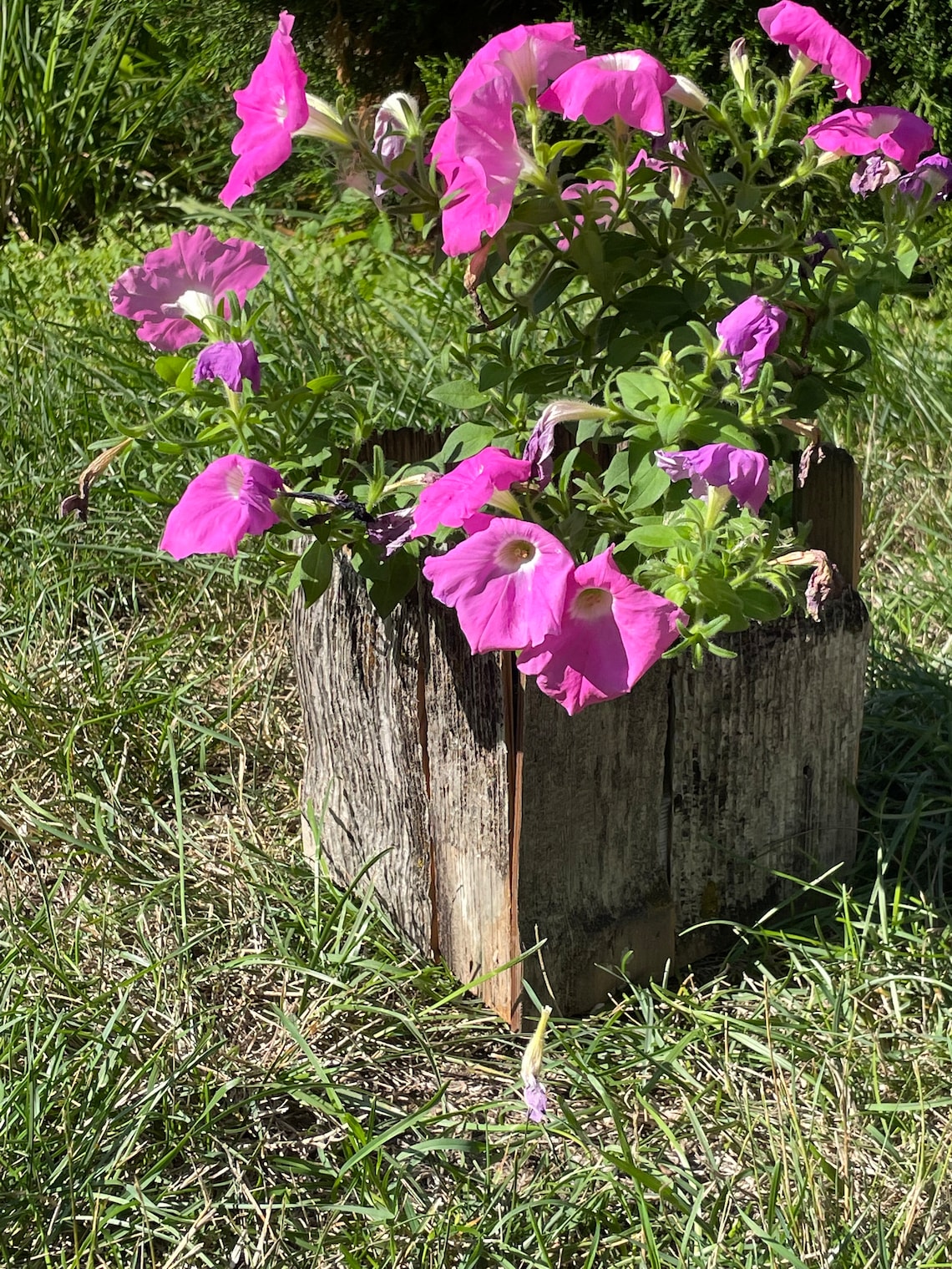 Rustic Flower Box Small (flower Not Included) - Etsy