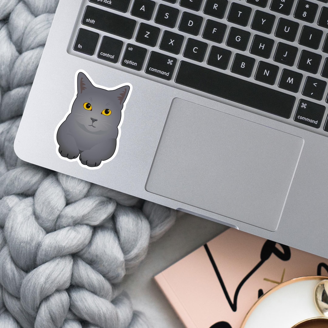 Chartreux Sticker Gray Cat Sticker for Cat Lovers Orange Eye Cat ...