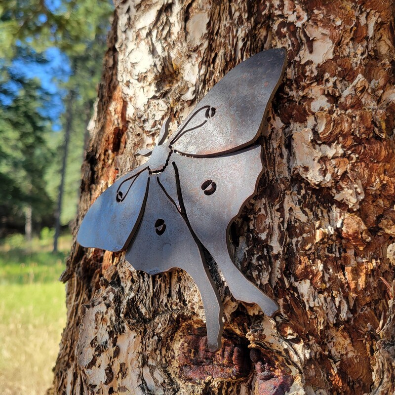 Moth Sculpture - Etsy