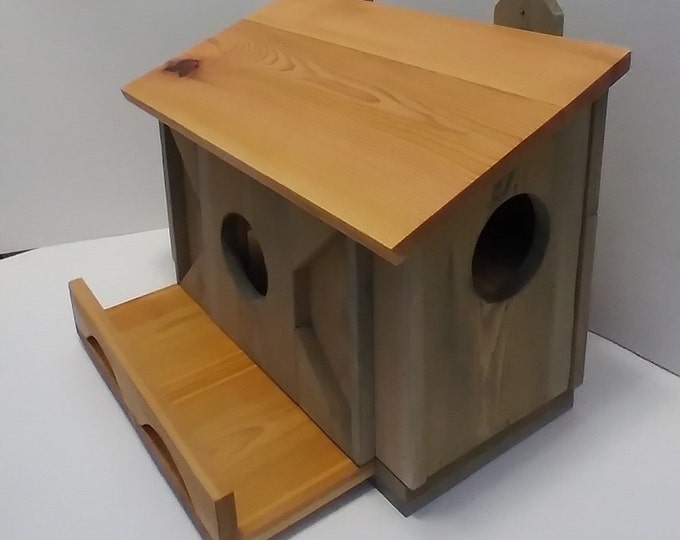 Wild Squirrel House With PORCH, Handmade Great Habitat for Observing ...