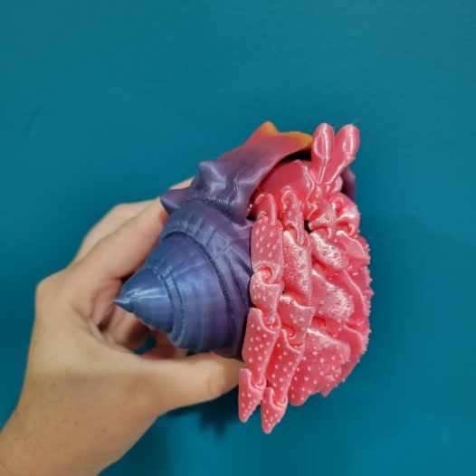 Hermit Crab With Shells - Etsy