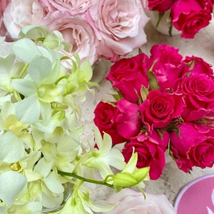 Barbie Tableware-birthday Party Tableware-baby Shower Tableware ...