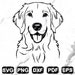 Golden Retriever Line Art SVG: Hand Drawn Pet Portrait (digital ...