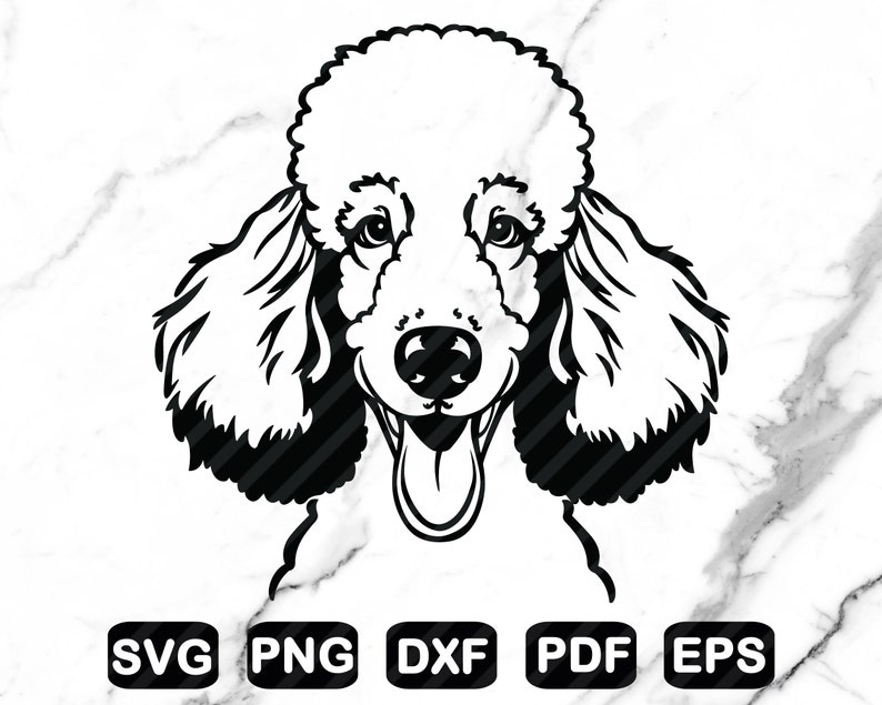 Poodle Hand Drawn SVG - Cute Dog Outline, Digital Download, Poodle Art ...