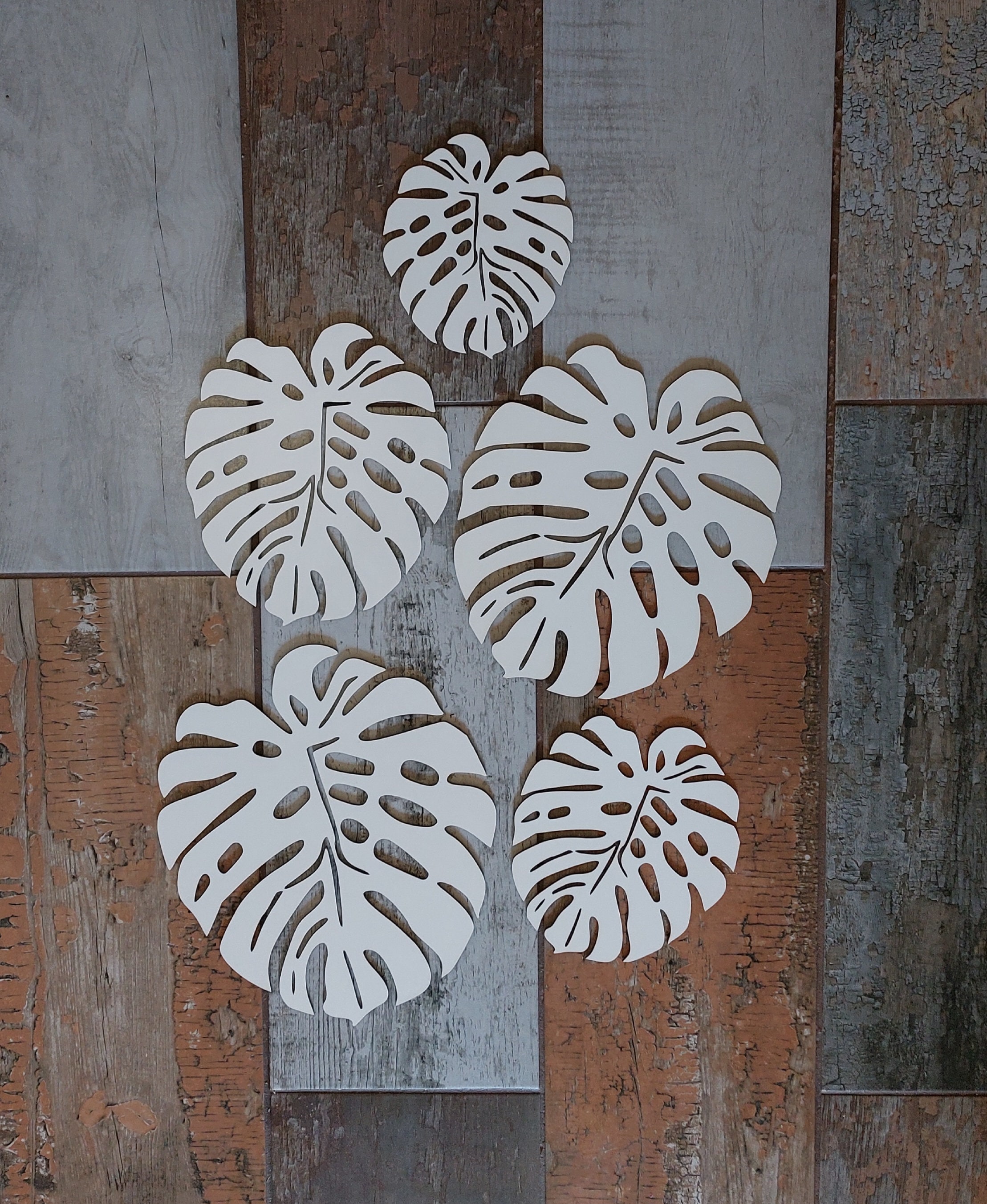 Laser Cut, Digital File. Monstera Deliciosa, Delicious Monster Plant ...