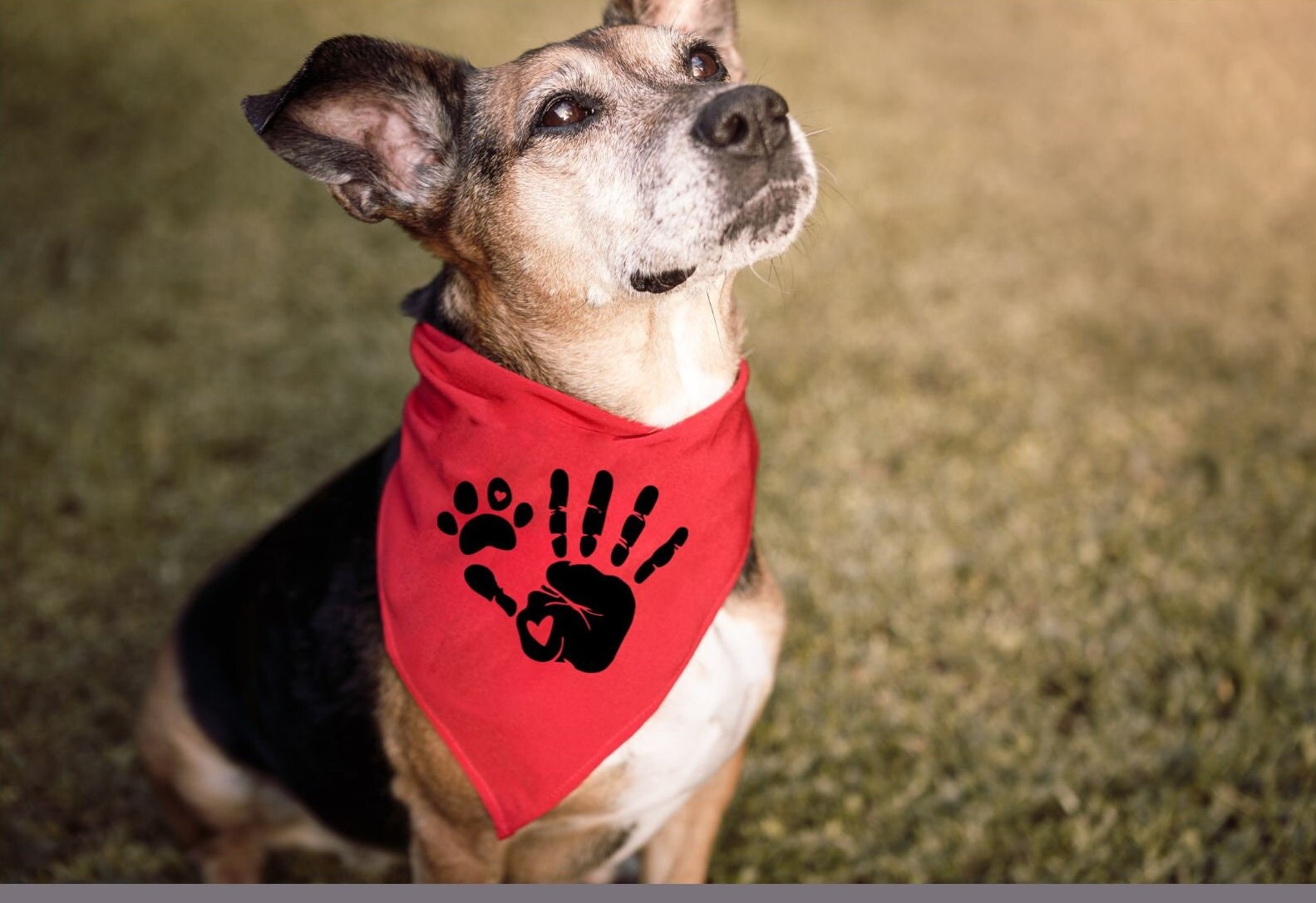 Don't Forget to Wave, Dog Paw Wave Decal, Sticker, Digital Cut File ...