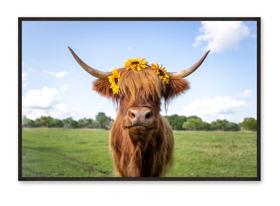 Highland Cow Digital Download Fuzzy Cow Cow With Horns - Etsy
