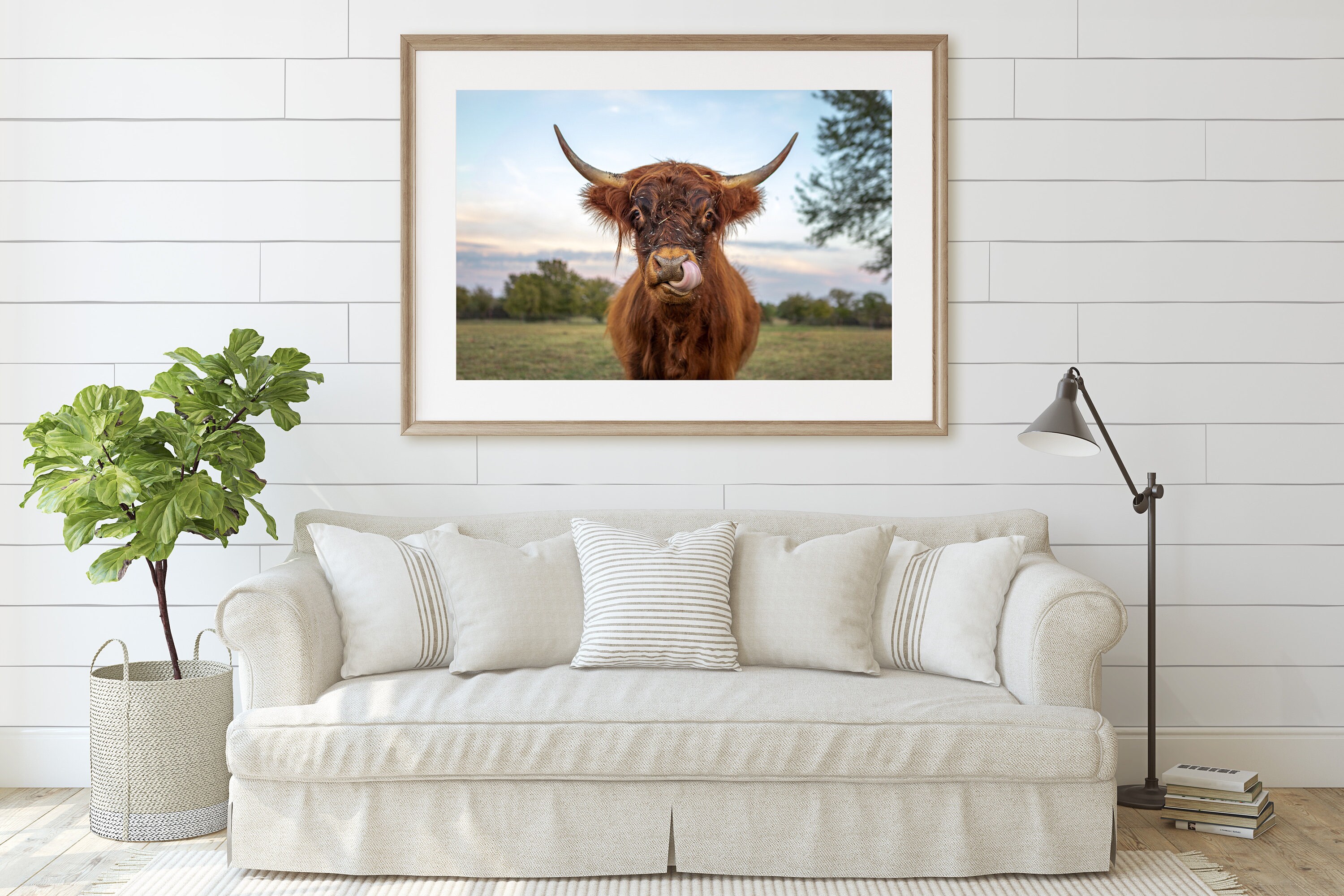 Highland Cow, Digital Download, Fuzzy Cow, Cow With Horns, Tongue Out ...