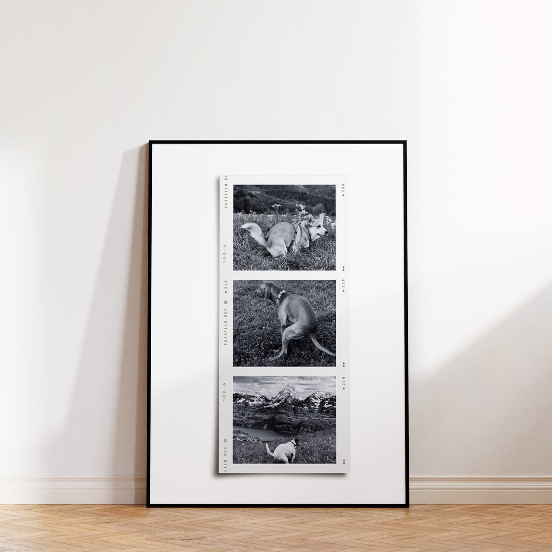 Quirky Dog Pooping Bathroom Print | Polaroid Photo Collage Wall Art ...
