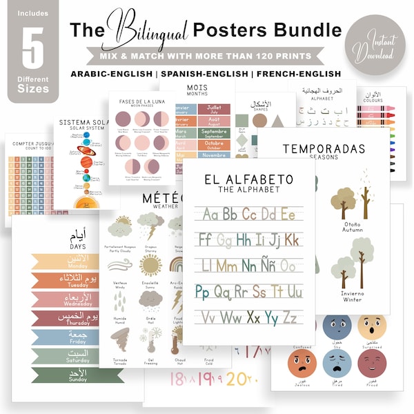French Language Posters - Etsy