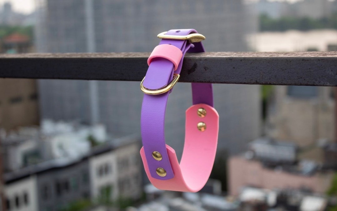 Custom SH 1.5 Inch Biothane Tapered Hound Collar - Etsy