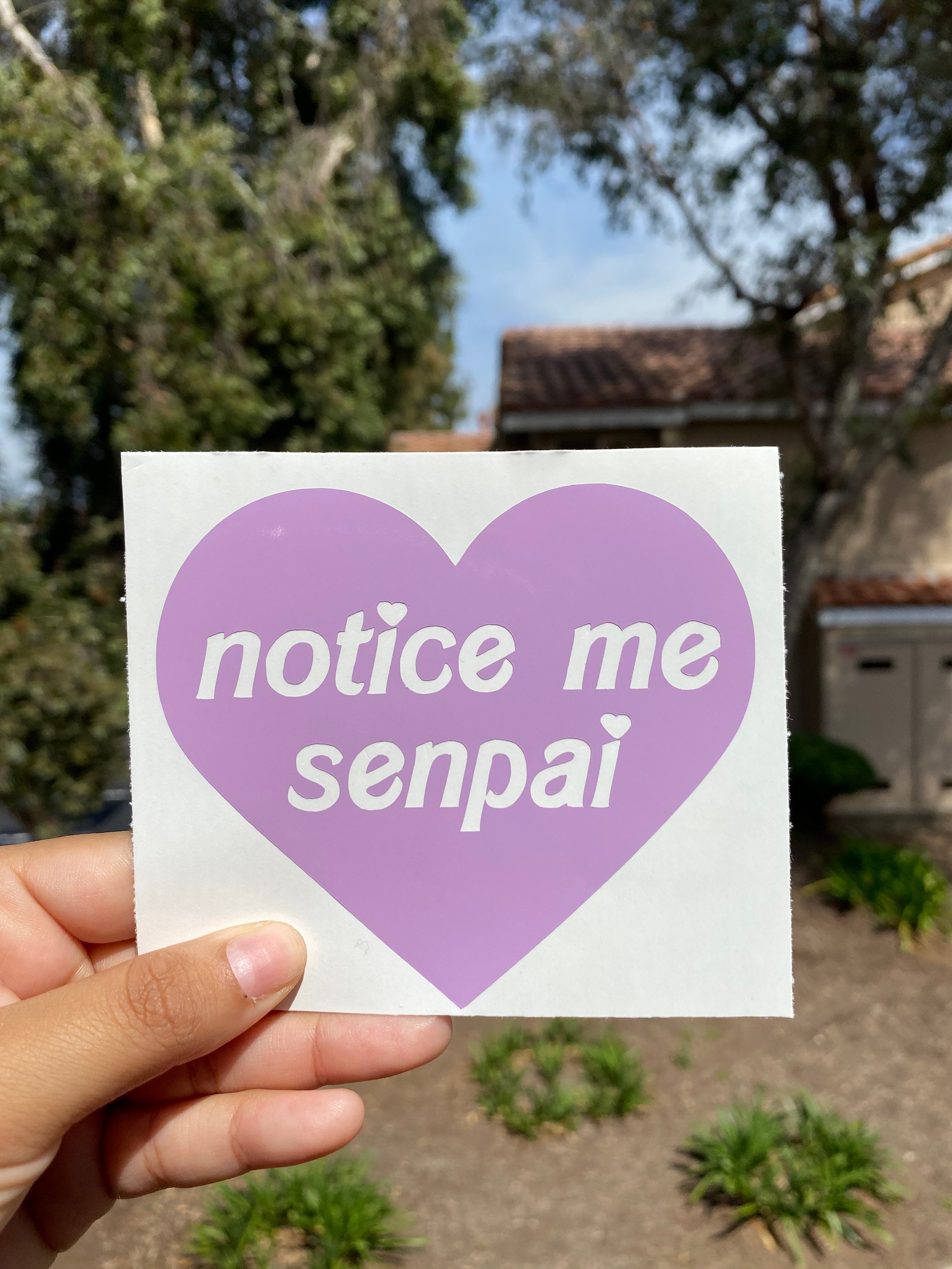 Please Notice Me Senpai Meme