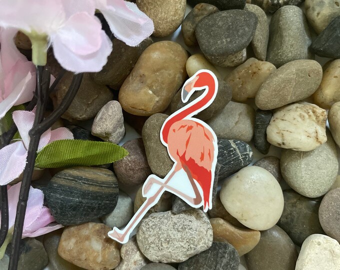 Pink Flamingo Sticker Decal, Character Vinyl Car Drink Laptop Cute ...