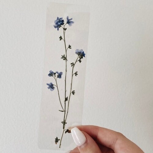 Forget Me Not Bookmark Real Dried Flowers Gift for Reader - Etsy