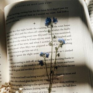 Forget Me Not Bookmark Real Dried Flowers Gift for Reader - Etsy