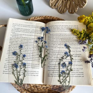 Forget-me-not Bookmark | Real Dried Flowers | Gift for Reader ...