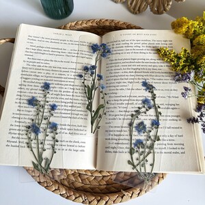 Forget-me-not Bookmark Set | Real Dried Flowers | for Her | Book ...