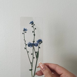 Forget Me Not Laminated Pressed Flower Bookmark With Tassel - Etsy