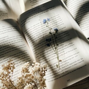 Forget Me Not Bookmark Real Dried Flowers Gift for Reader - Etsy