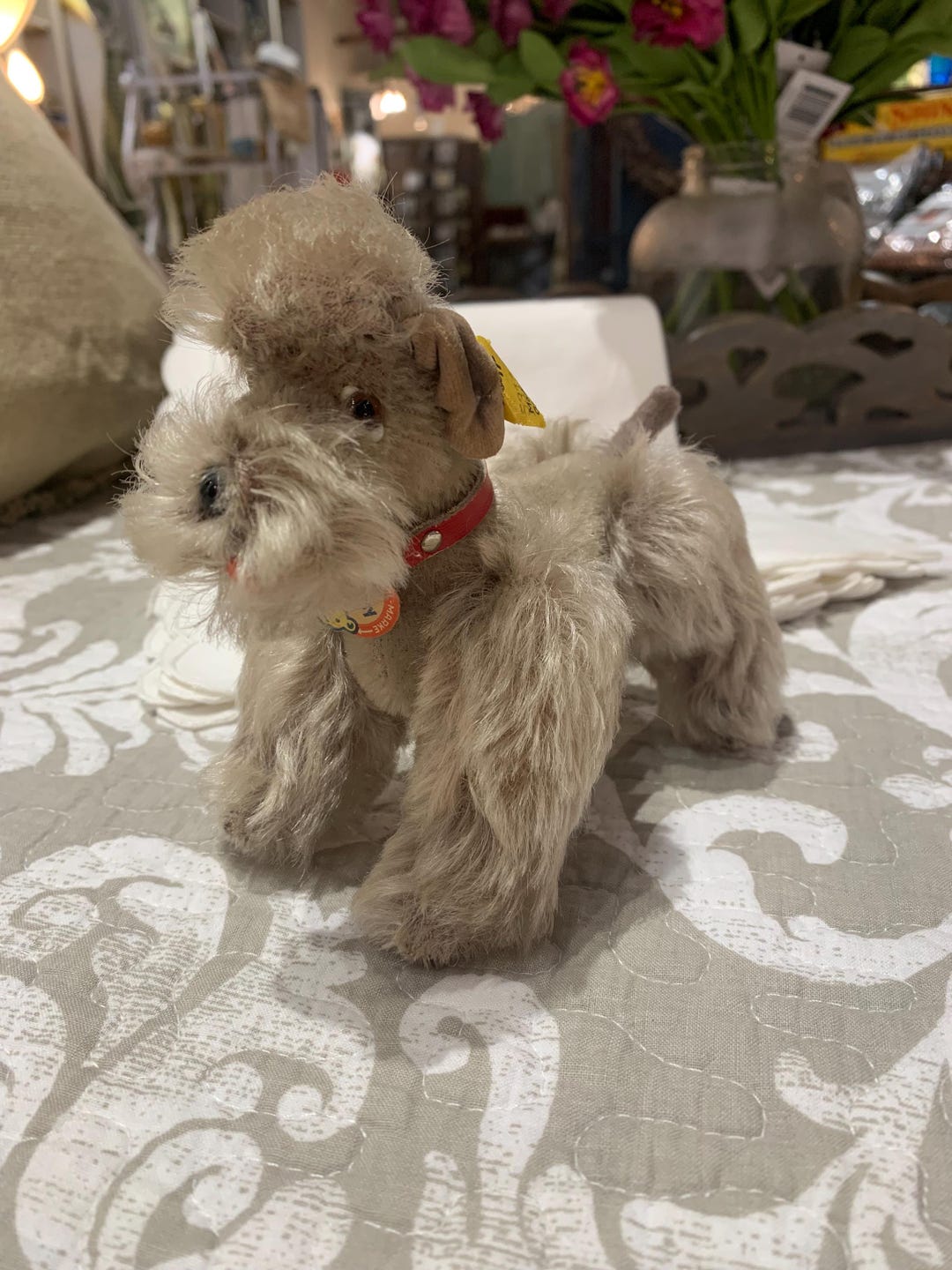 1950s Steiff Poodle, snobby, Original Yellow Eartag Label and Red ...