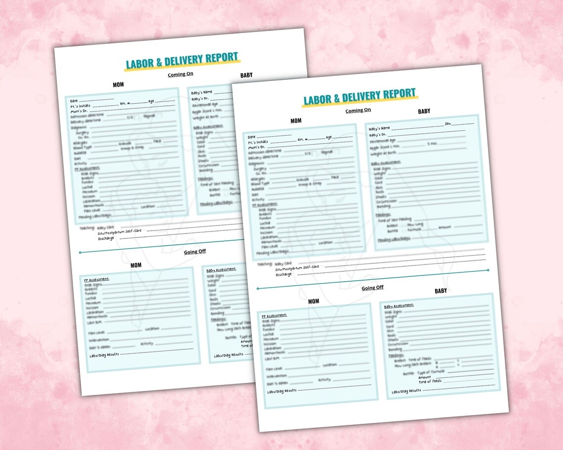 Labor and Delivery Report Sheet Ldrp Nurse Nurse Report - Etsy