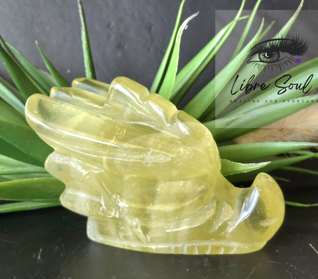 Natural 3.5" Citrine Dragon Head Carved Crystal~ Gift Idea, New Job ...