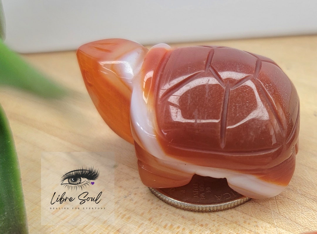 Natural Carnelian Crystal Carved Turtle: Good Luck Charm - Etsy