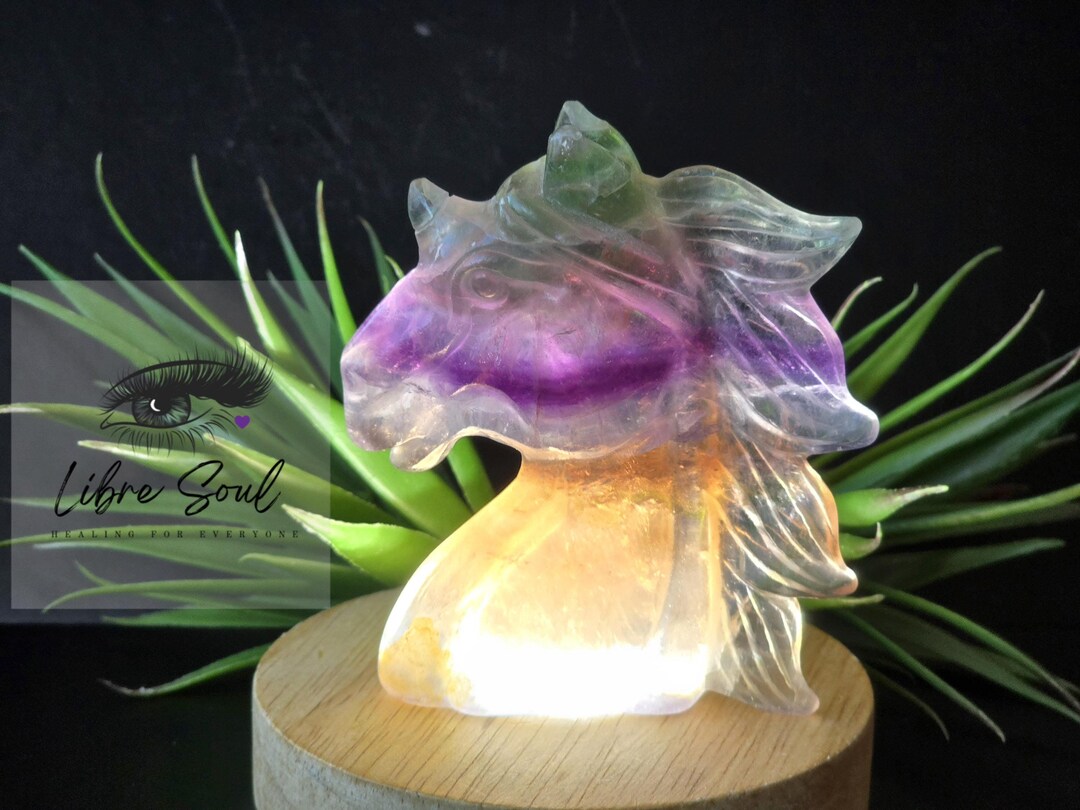 Natural Rainbow Fluorite Unicorn Carved Crystal~ With Lamp Beautiful ...