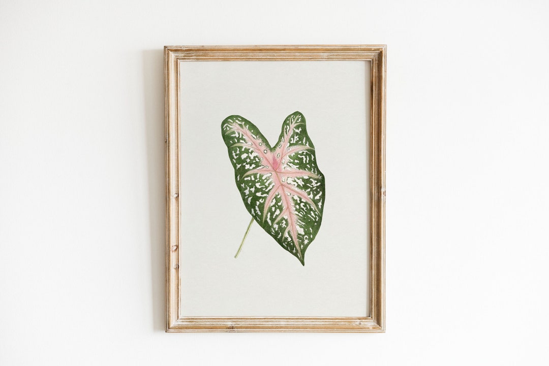 Caladium Leaf Print | Botanical Printable Wall Art | Botanical Wall ...