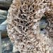 Nutmeg Book Page Hydrangea Wreath - Etsy