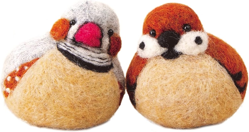 Japanese Hamanaka Needle Felting Craft Kit Zebra Finch and - Etsy