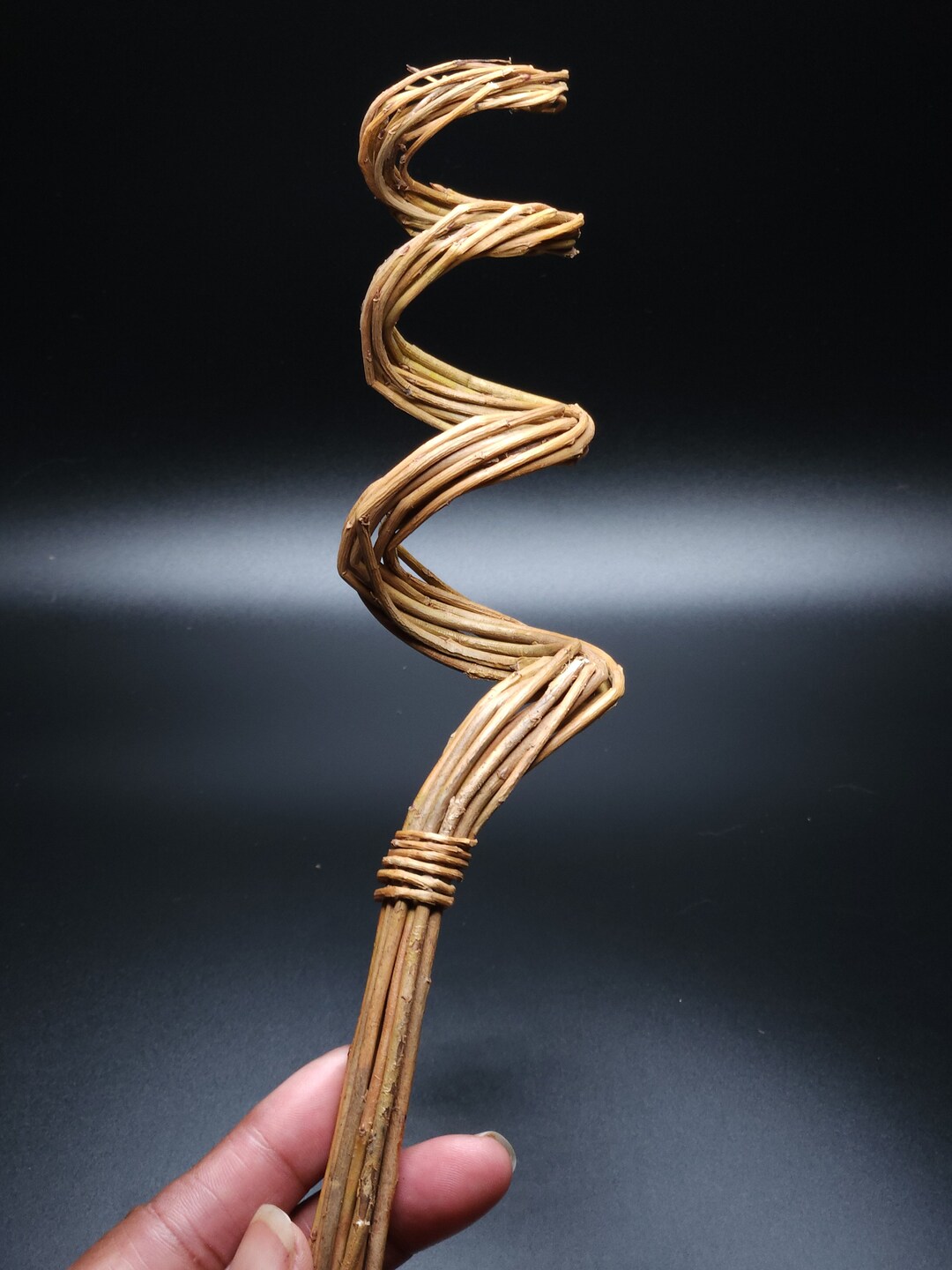 Curly Willow Branches Natural Wood Chew Toy Forage Toy Part for Bunny ...