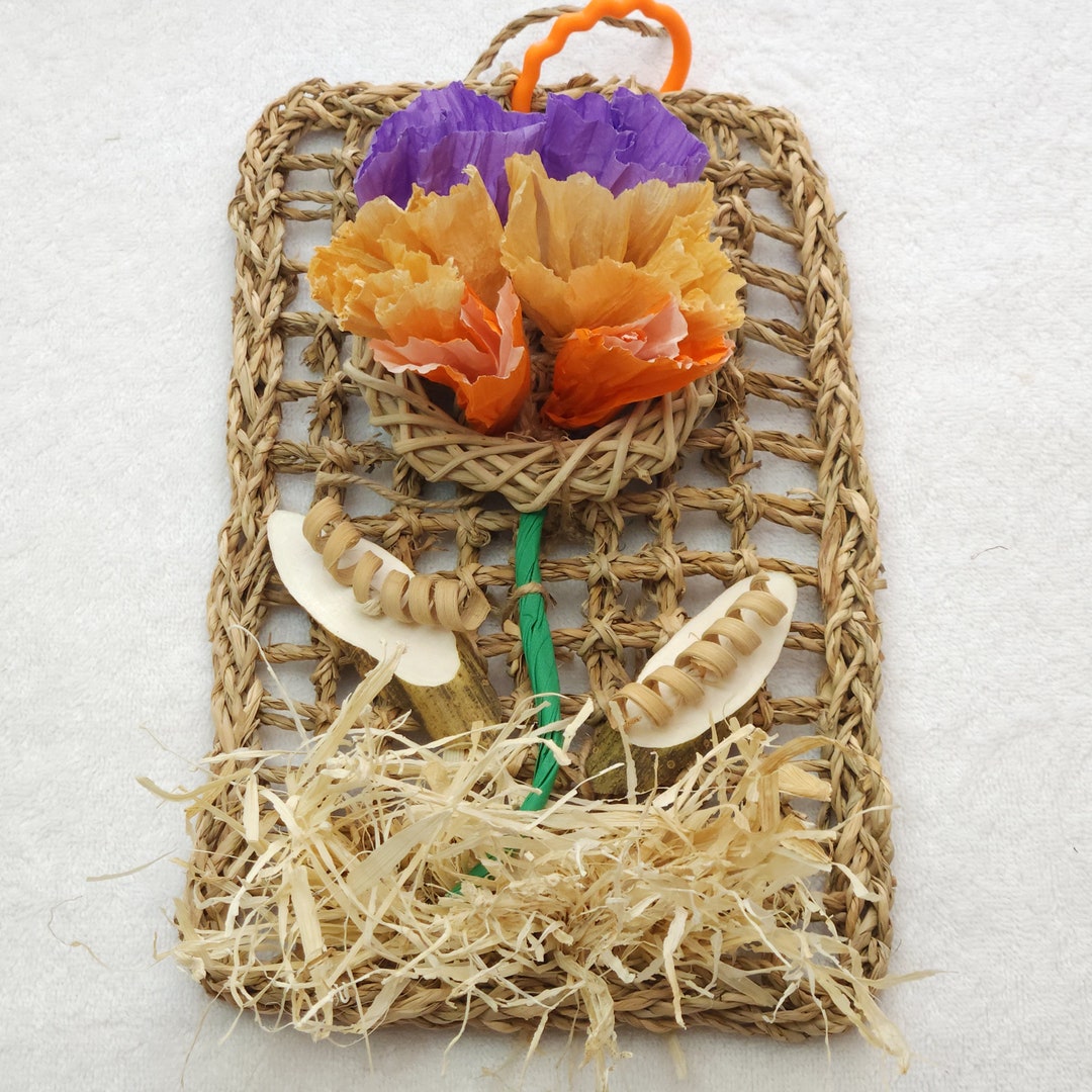 Harvest Flower Forage Toy and Chew Toys for Rabbits, Guinea Pigs ...