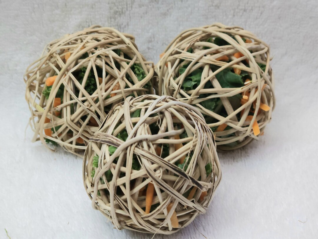 Kale and Carrot Stuffed Vine Balls 3-pack Bunny Forage Treat and Chew ...